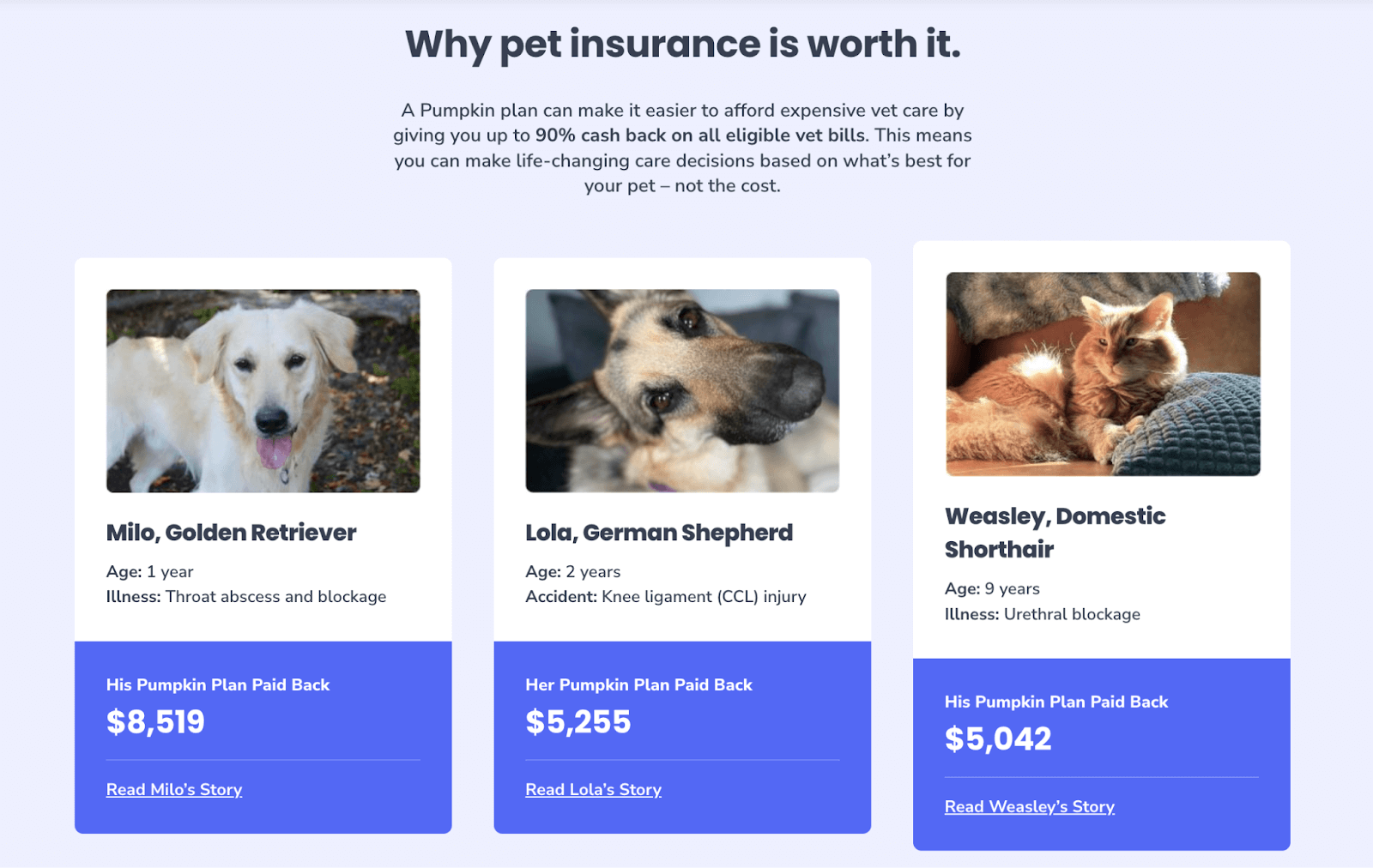 15 Best Insurance Agent Websites [Examples + Why They Work]